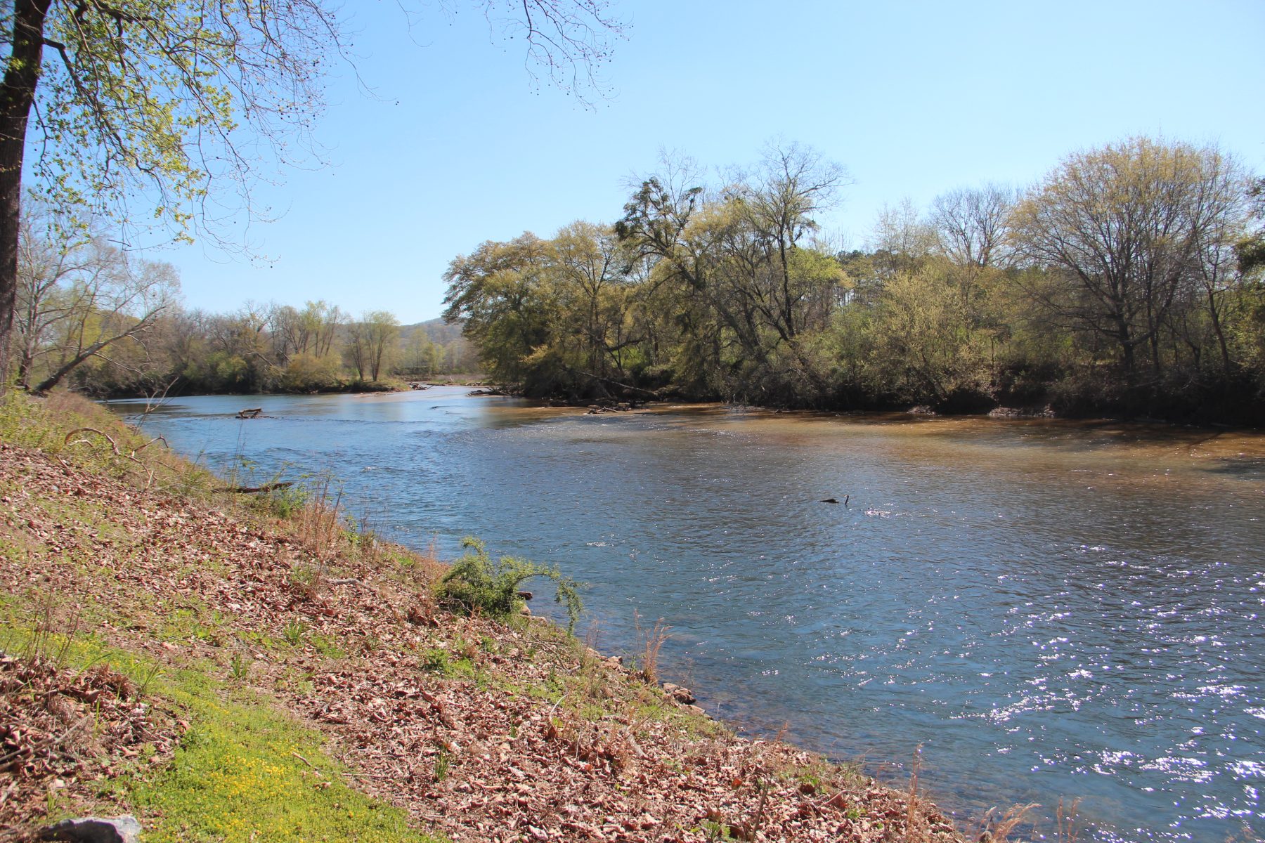 learn-about-water-FAQs-Etowah_River - Metropolitan North Georgia Water Planning District